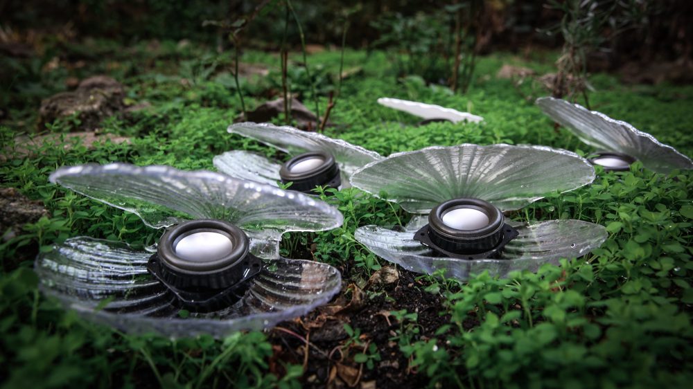 Marco Barotti wint Global Digital Art Prize van Nanyang Technical ...