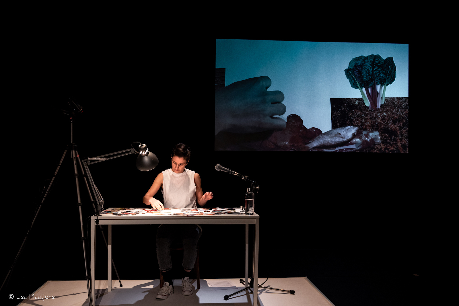 Commitment Phobe - C-Takt